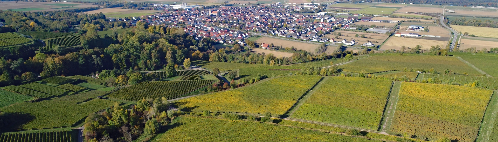 Gemeinde Ringsheim: Startseite